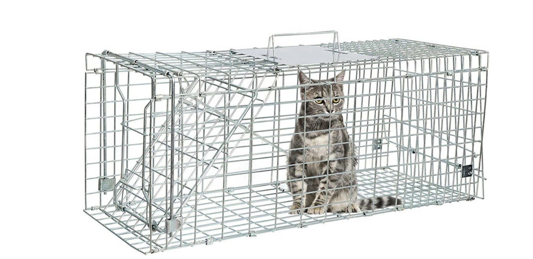 Kattefeller for innfangning av katter – Fangstmann.no